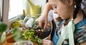 DIY Terrarium & the Hydrologic (Water) Cycle