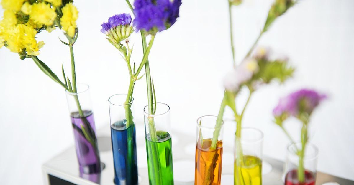 Homework Help: Science Experiments